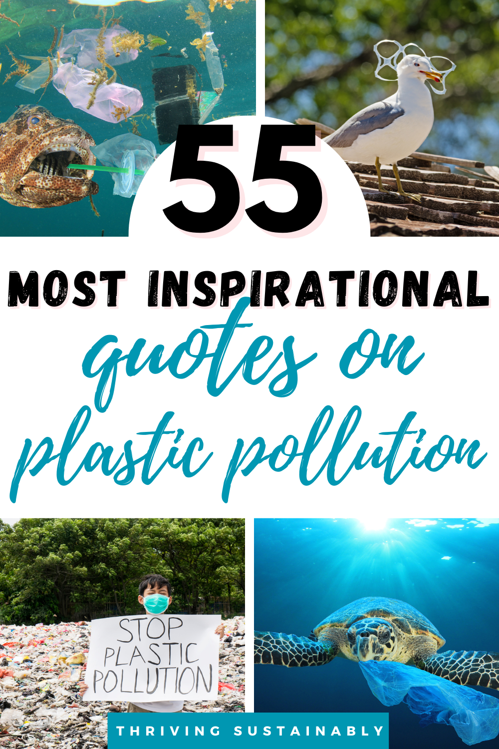 55 Quotes on Plastic Pollution and Waste - Thriving Sustainably