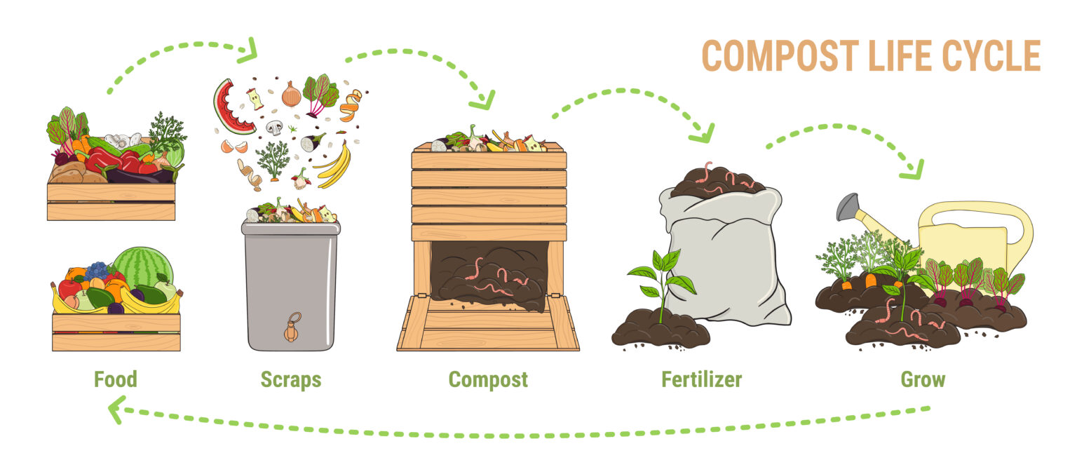 7 Simple Steps to Build Your DIY Compost Spreader