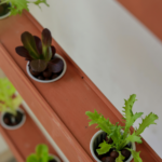 DIY Vertical Hydroponic Garden: Easy Step-by-Step Guide