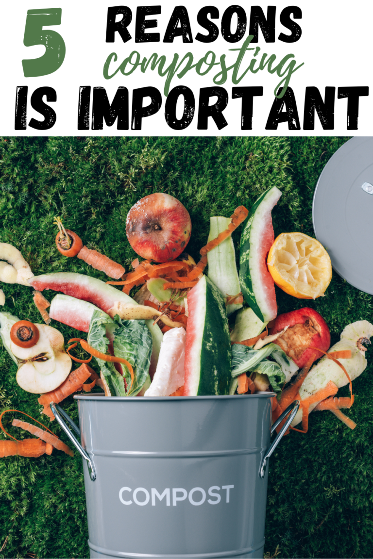 Why is Composting Important? Benefits for You & Environment - Thriving ...