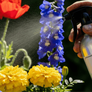 Homemade Insecticide Spray for Plants: Safe & Easy DIY Recipes