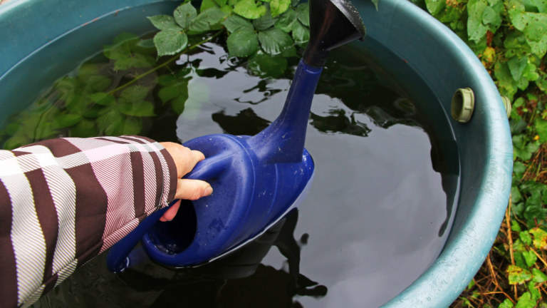 Cut Your Bills: Easy Ways to Conserve Water at Home Today - Thriving ...