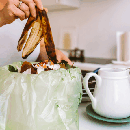 Worm Composting Bin DIY: Step-by-Step Guide for Beginners