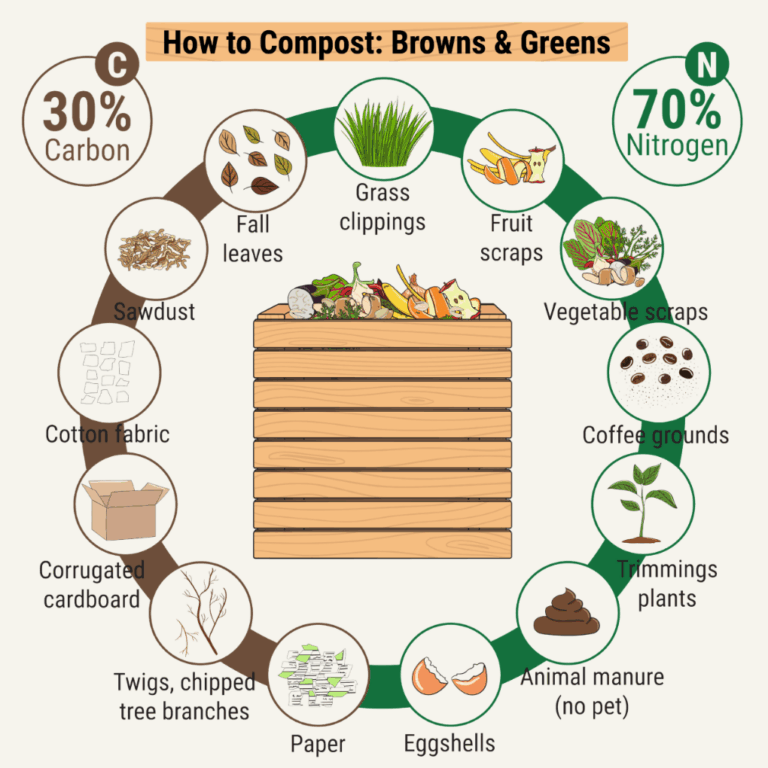 Composting 101: Easy Beginner’s Guide to Compost at Home