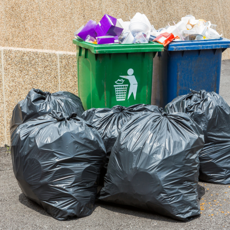 How to Recycle: A Simple Guide to Recycling Correctly