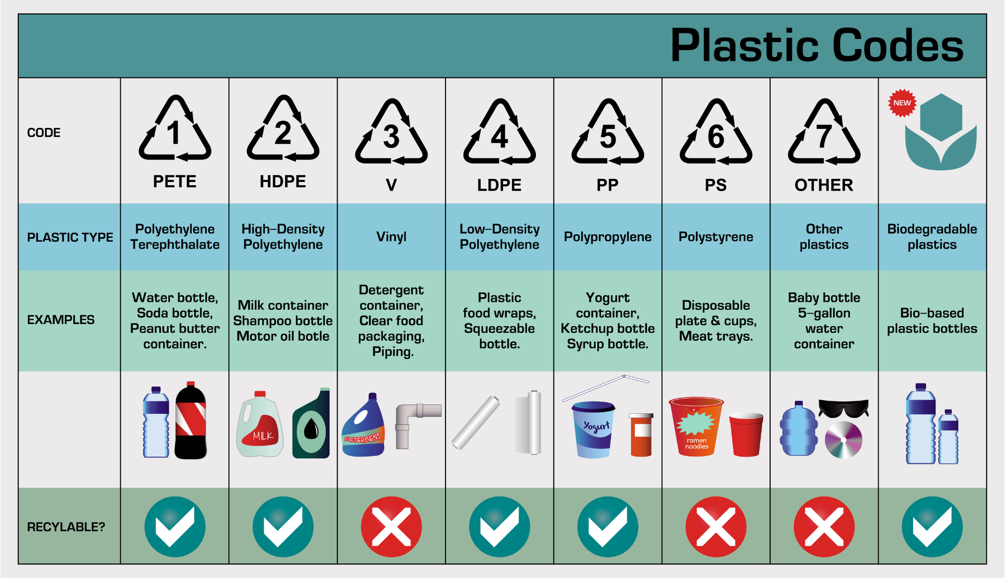 How to Tell If Plastic Is BPA-Free: Decode Recycling Numbers Fast