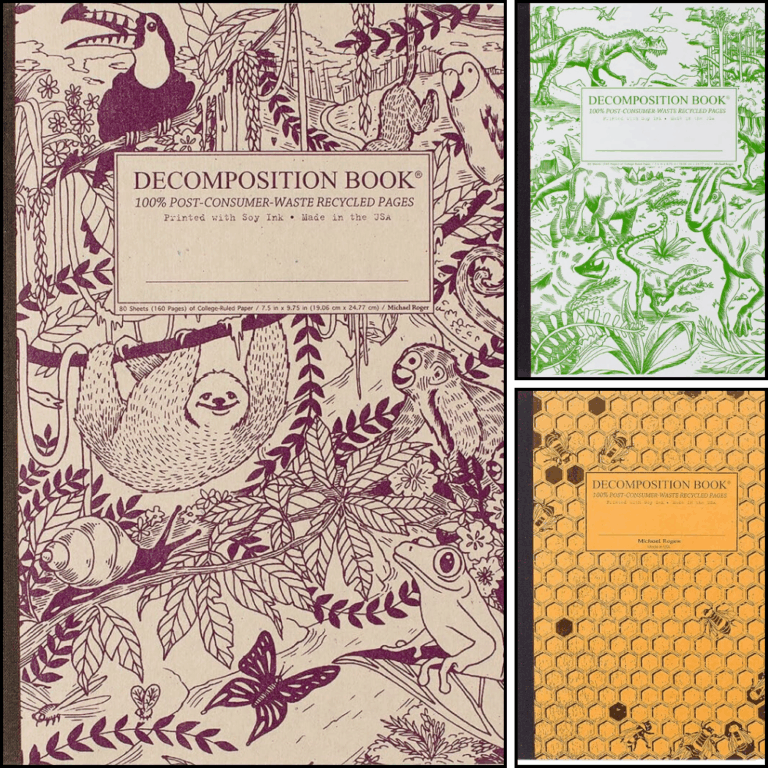 Back to School Supplies: Eco-Friendly Picks for Every Student