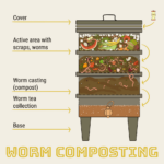 Worm Composting Bin DIY: Step-by-Step Guide for Beginners